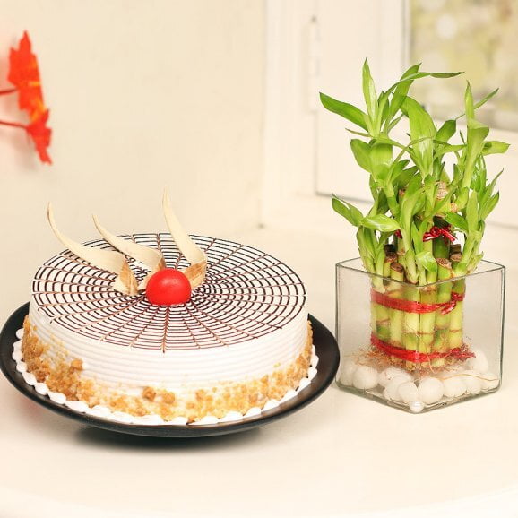 #Cakeshoppondicherry #bakeryinpondicherry #bestcakeshop #onlinecakeshop ...
